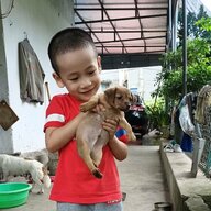 thu duc digital day 2025 | VnReview - Cộng đồng đánh giá, tư vấn sản phẩm và thông tin khoa học ...